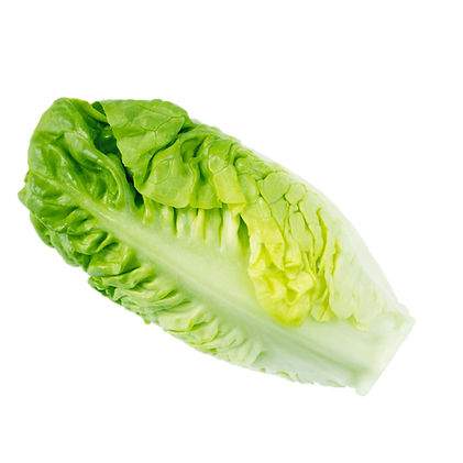 Baby Cos (ea) – YourMarket